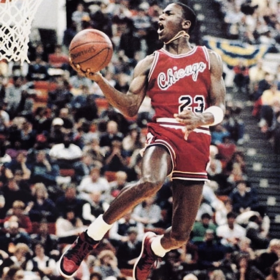 King of the King 👑 | KREAM