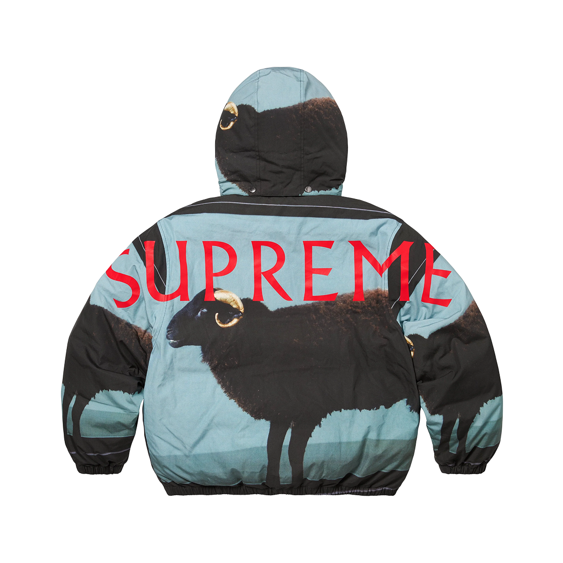 Supreme x Damien Hirs... STYLE | KREAM