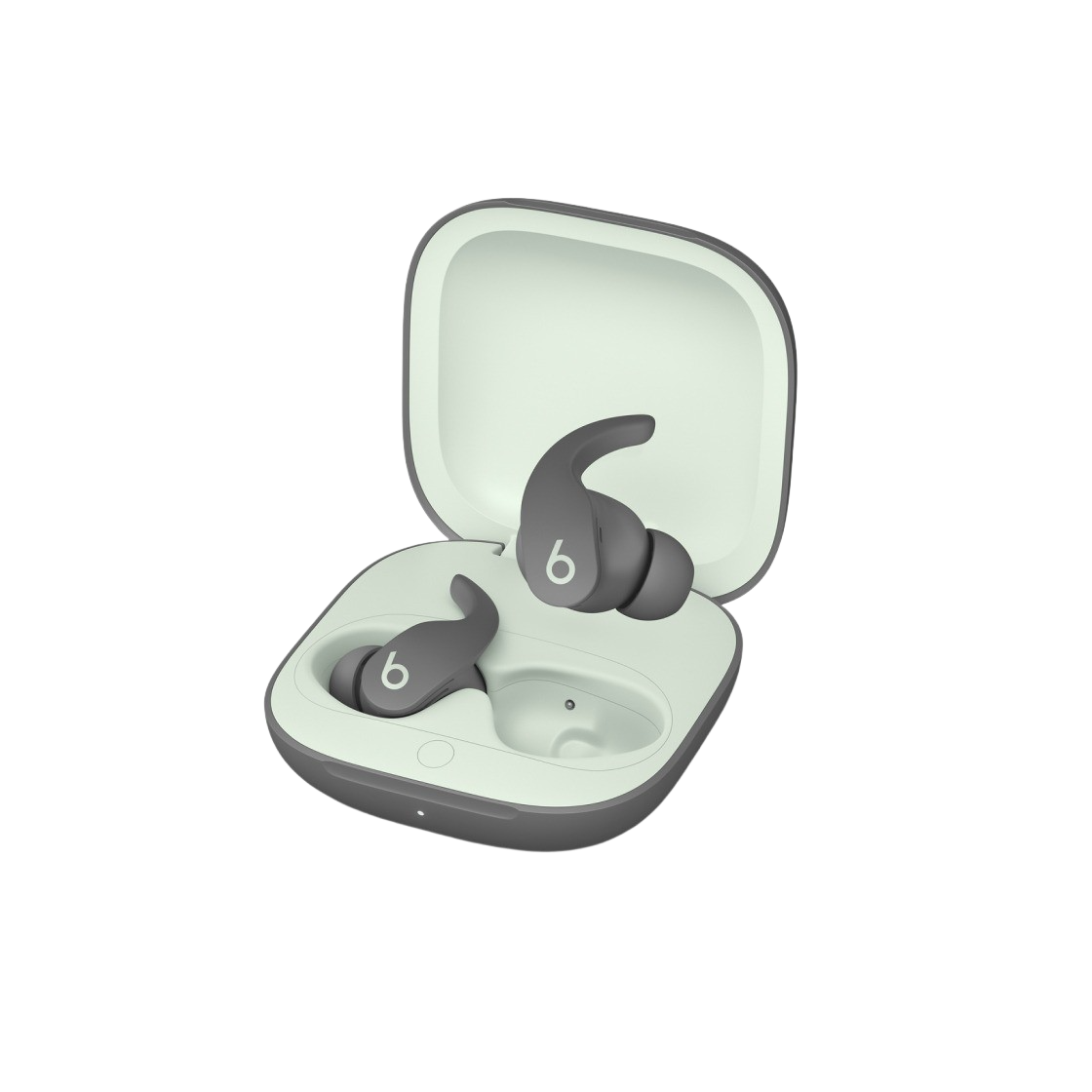 비츠 핏 프로 트루 이어버드 세이지 그레이 (국내 정식 발매 제품) | Beats | KREAM