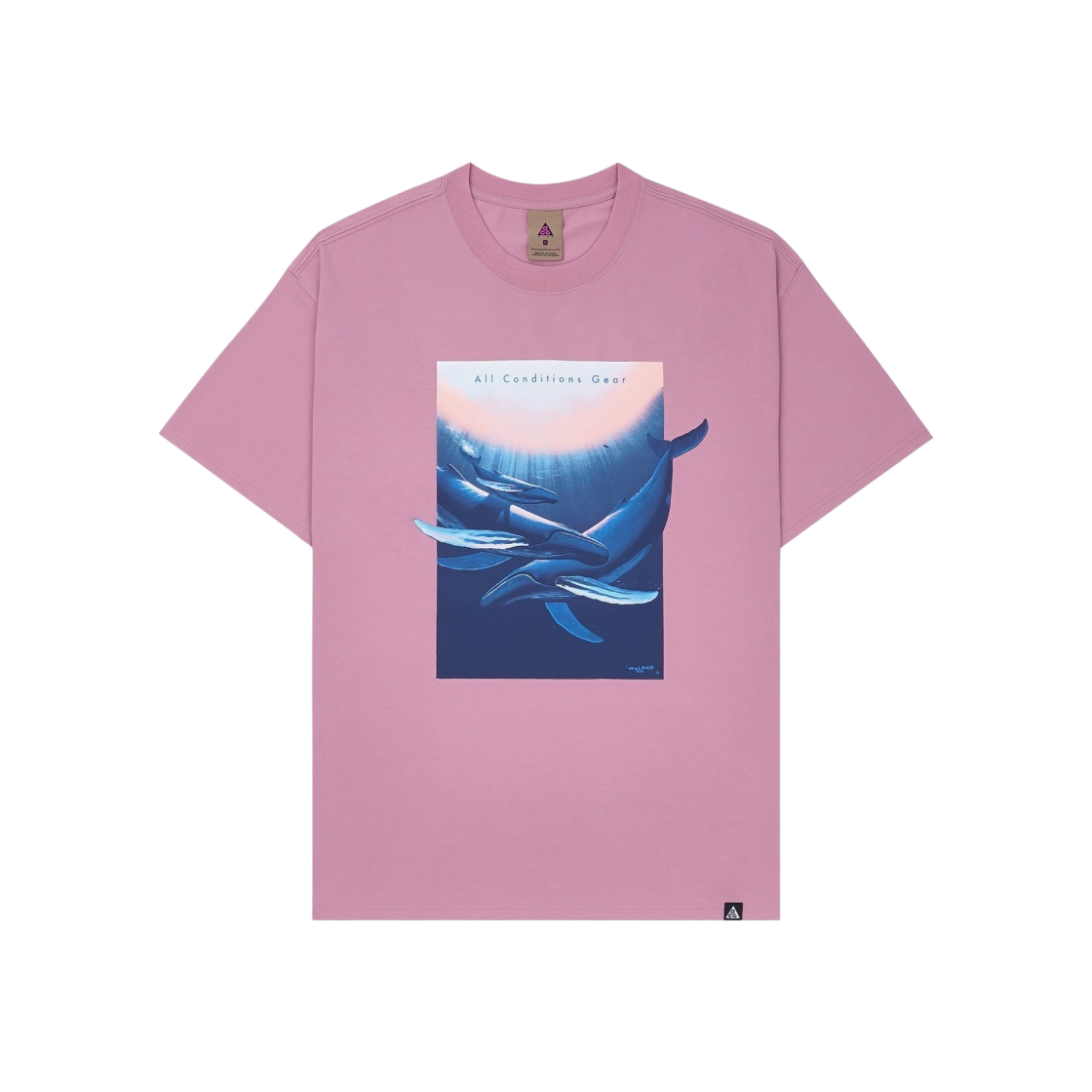 Nike NRG ACG Wyland T... STYLE | KREAM