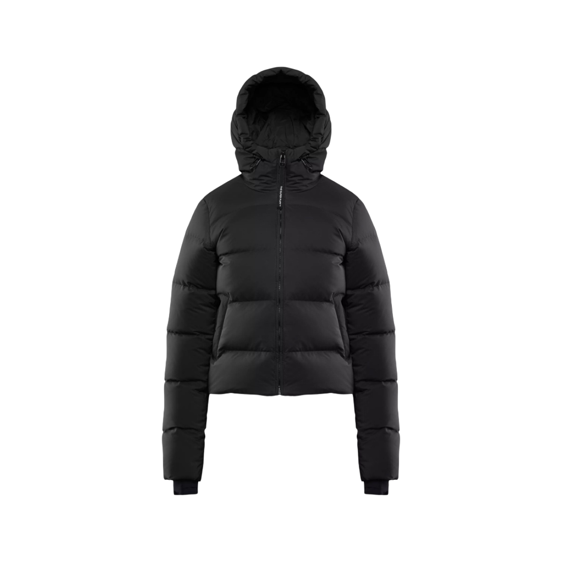(W) 아리찌아 더 슈퍼 미니 퍼프 후디 클라이매트 구스 다운 후디 미니 퍼퍼 자켓 블랙 | Aritzia | KREAM