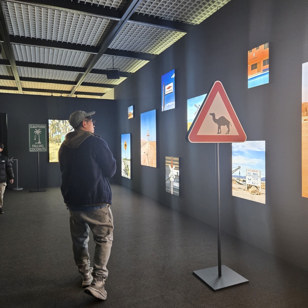 완연하진 않지만 봄은 왔네요 | KREAM