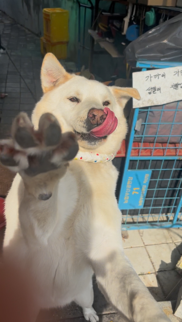 꿀템파인더 (@jimmy.h) 님의 게시물 | KREAM