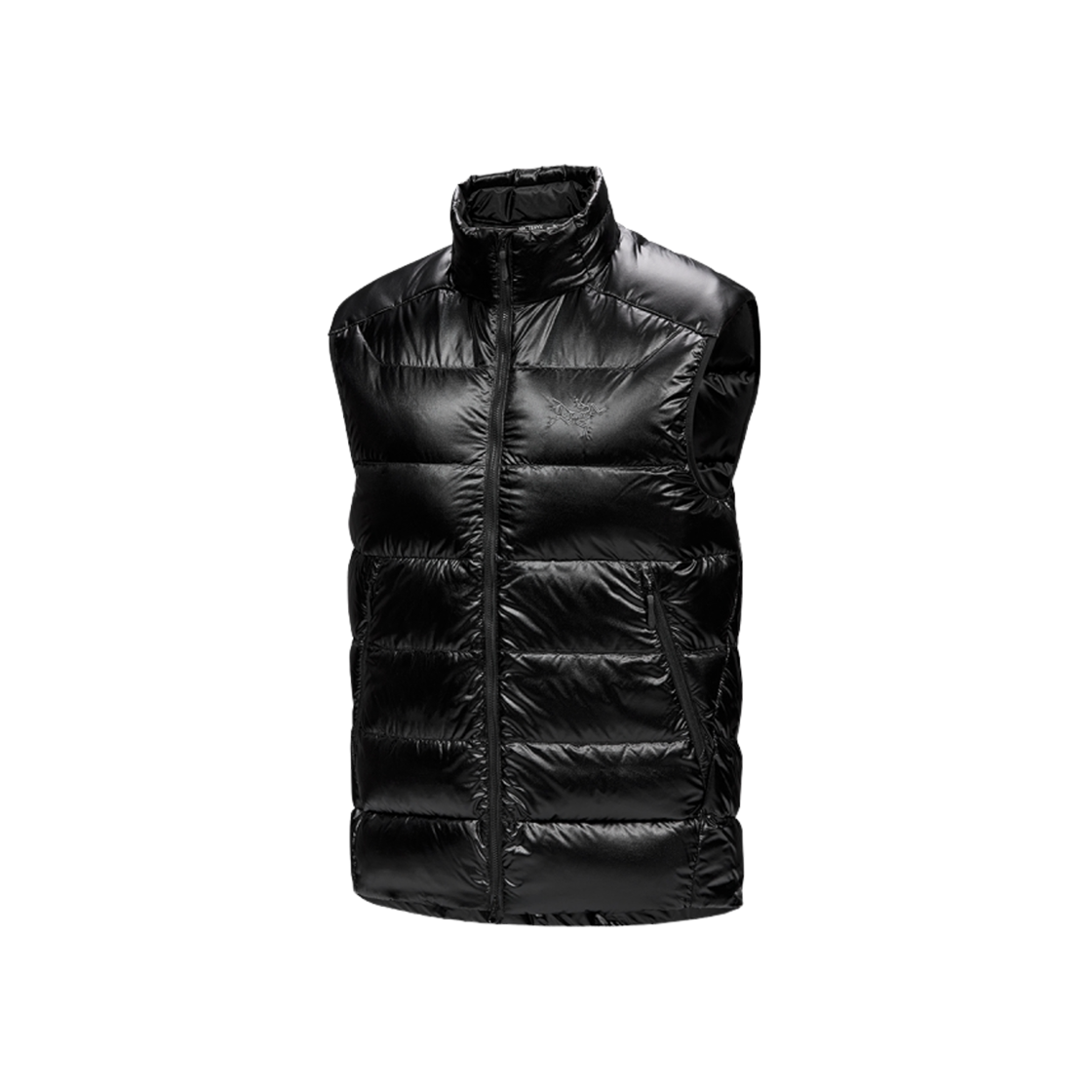 아크테릭스 세륨 SV 베스트 블랙 | Arc'teryx | KREAM