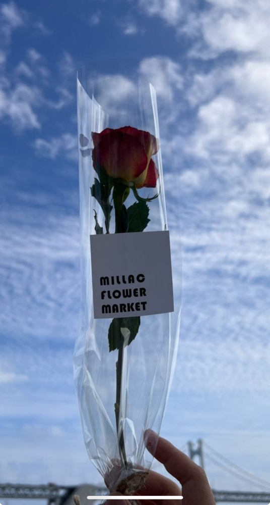 MJ (@mj7min) 님의 게시물 | KREAM