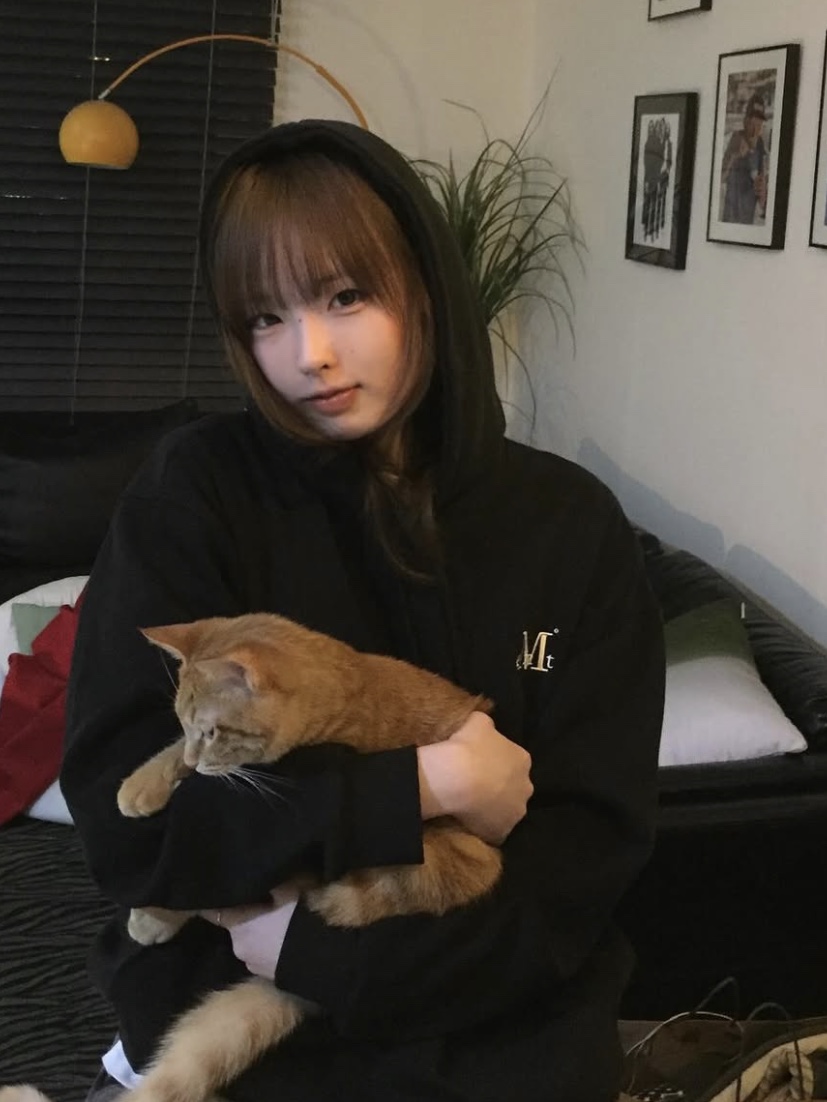 후드티 추천🐱 | KREAM