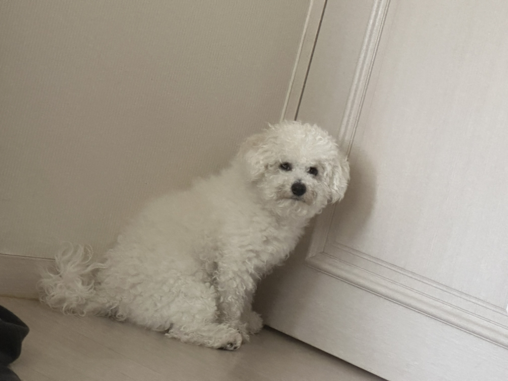 min gu (@w_min__) 님의 게시물 | KREAM