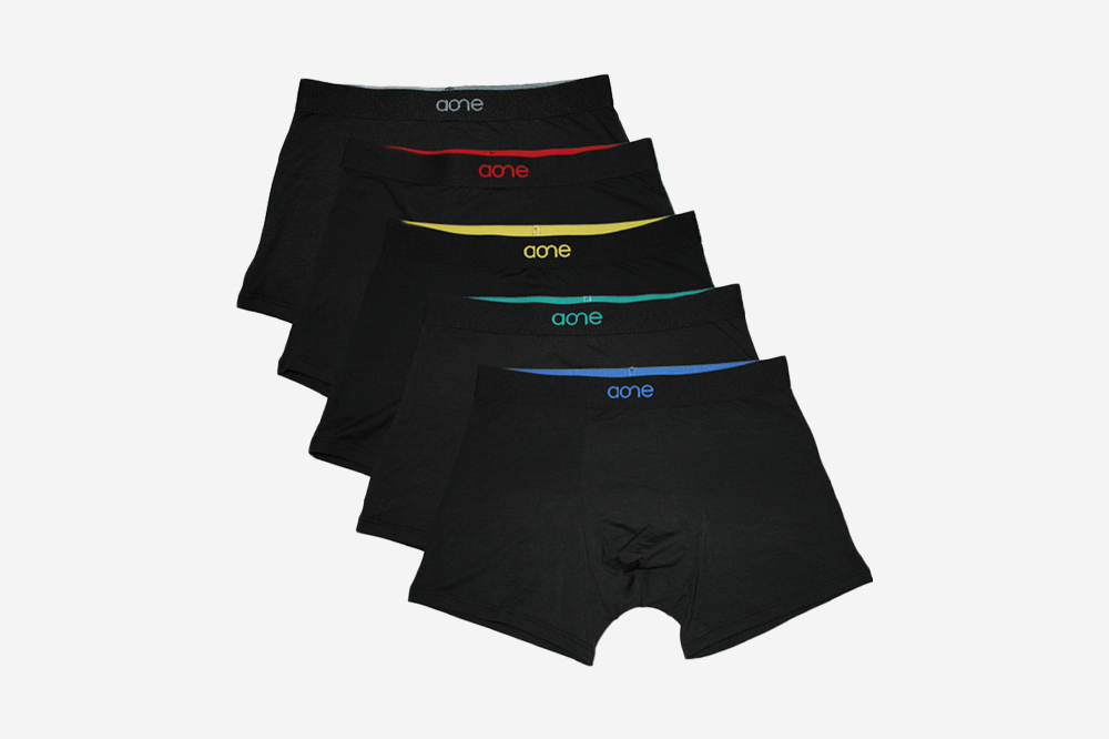 에이원 모달 로고 언더웨어 박서 브리프 5팩 | AONE | KREAM