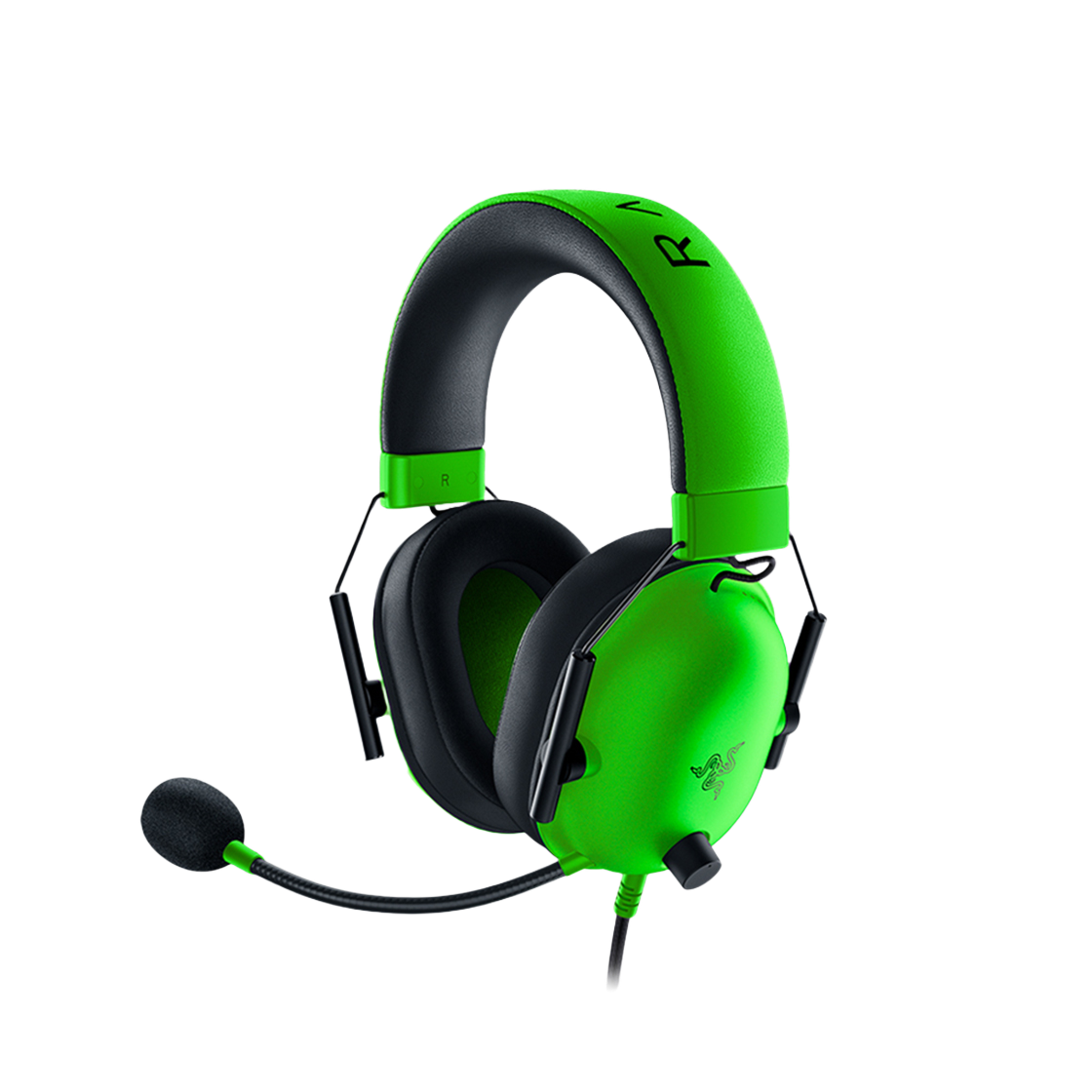 레이저 블랙샤크 V2 X 그린 | Razer | KREAM