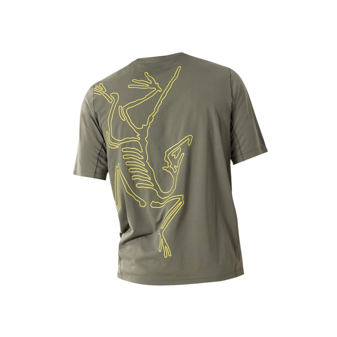아크테릭스 코막 아크버드 로고 Ss 티셔츠 포리지 헤더 Ii Arcteryx Kream