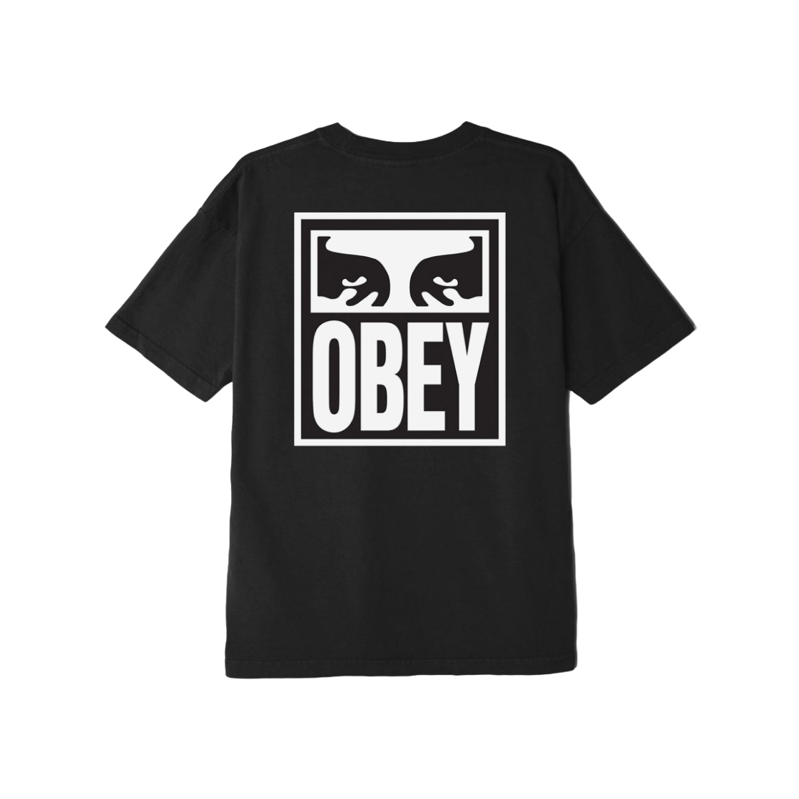 오베이 아이즈 아이콘 2 클래식 티셔츠 블랙 | Obey | KREAM
