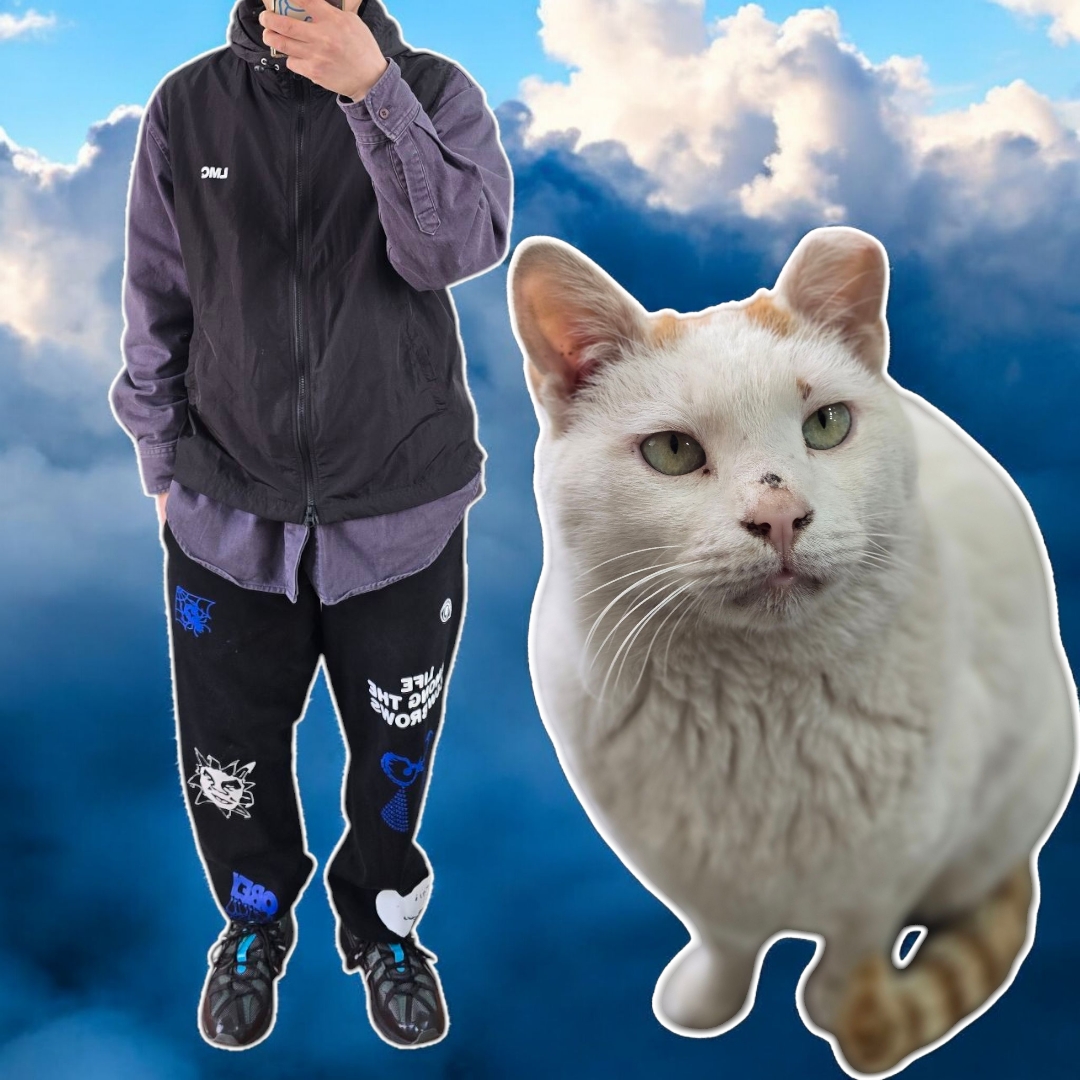 jnjnjn (@jnjnjn) 님의 게시물 | KREAM