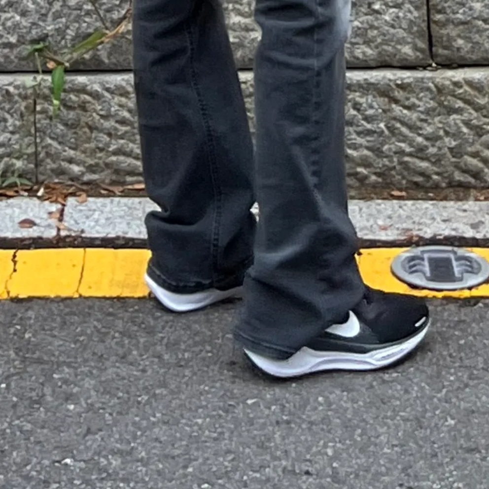 페가수스41 | KREAM